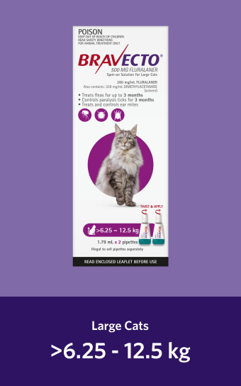 Bravecto Spot-on For Cats - Bravecto AU
