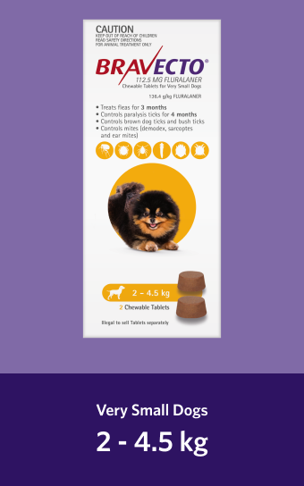 Bravecto Chews for Dogs | Flea and Paralysis Tick Protection