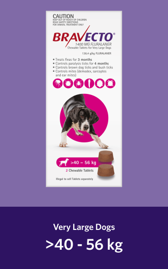 Bravecto Chews for Dogs | Flea and Paralysis Tick Protection