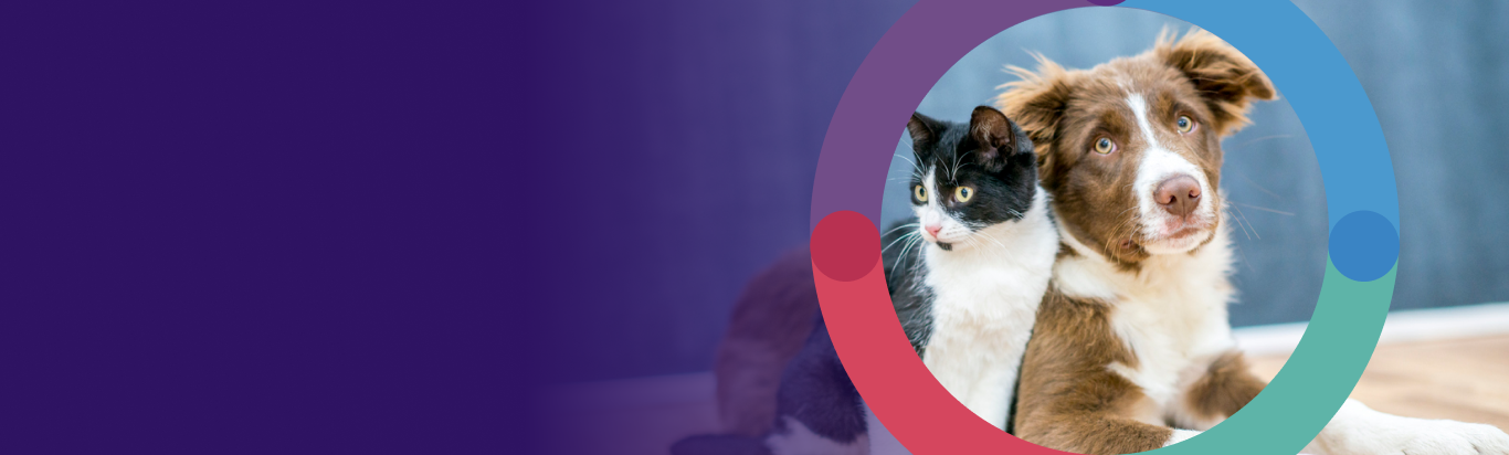 Homepage - Bravecto AU