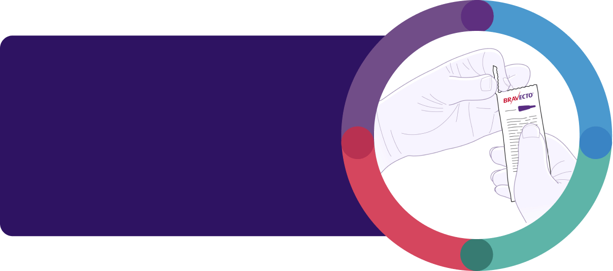 Bravecto Spot-on For Cats - Bravecto AU