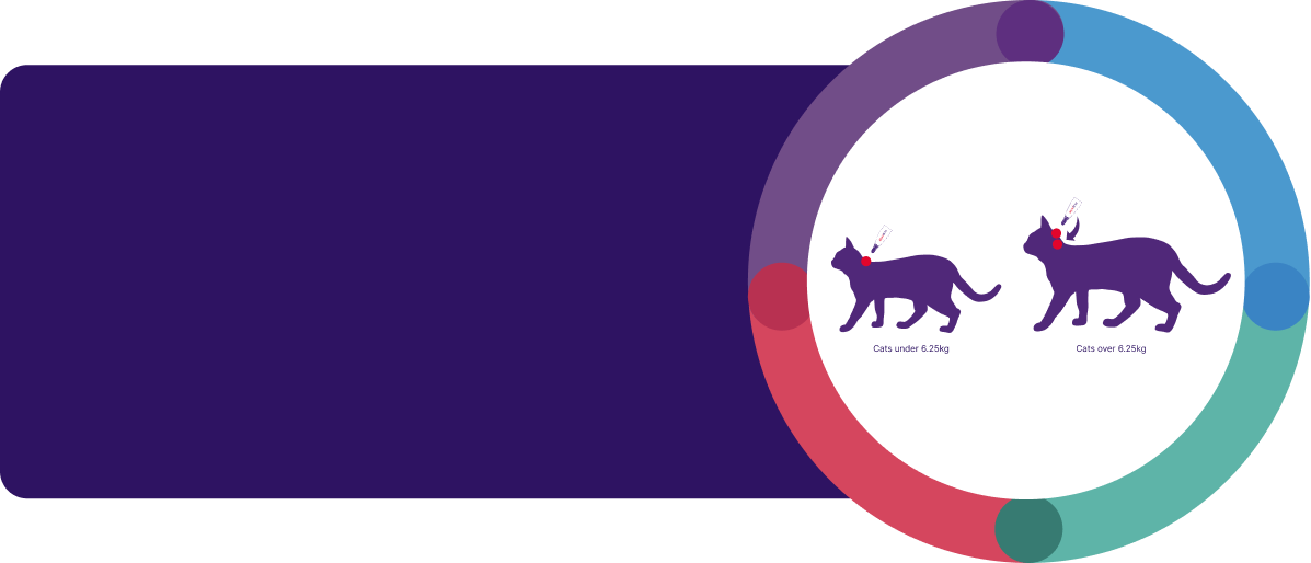 Bravecto Spot-on For Cats - Bravecto AU